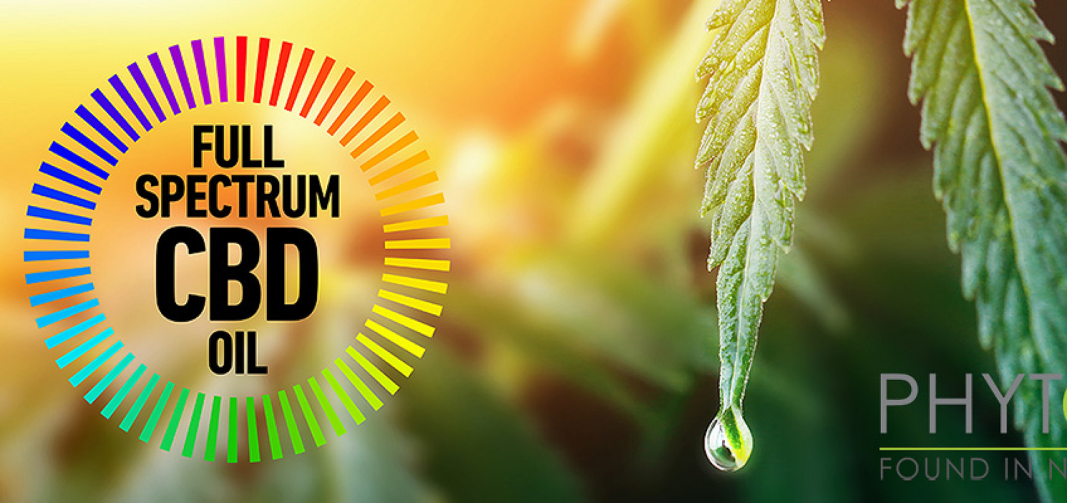 What is Full Spectrum CBD oil and the Entourage Effect?