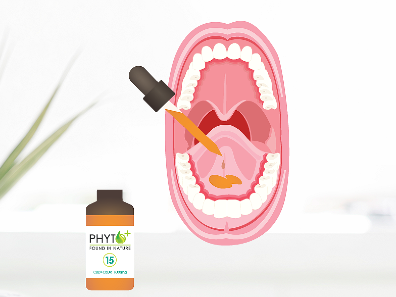 CBD Isolate | CBD Crystals 99% | Phyto Plus CBD