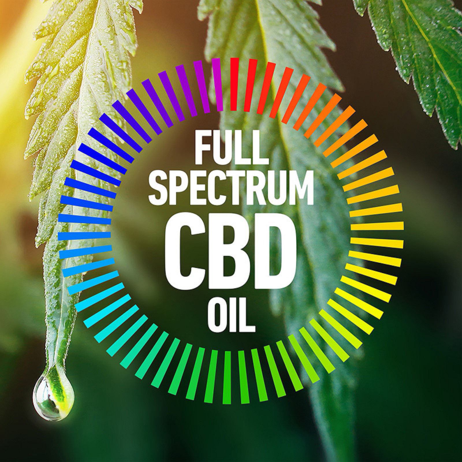 Buy CBD oil of the best quality online | Phyto Plus CBD